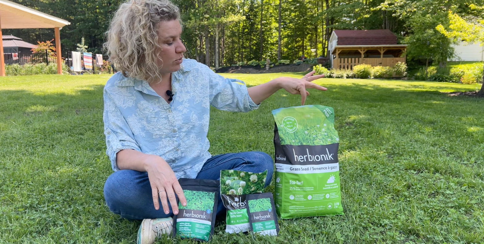 Du trèfle dans le gazon pour une plus grande biodiversité